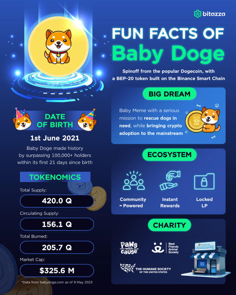 Fun Facts of Baby Doge