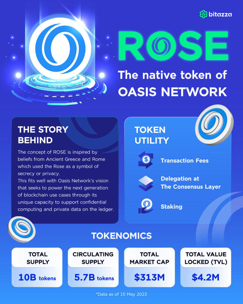 Get to Know More About ROSE